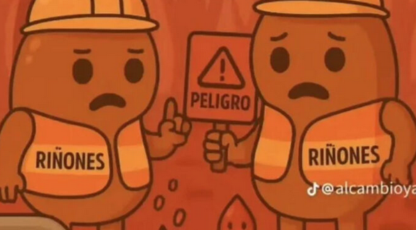 VIDEO: ¿Quiénes son los ‘hermanos riñones’? El nuevo video viral de ...