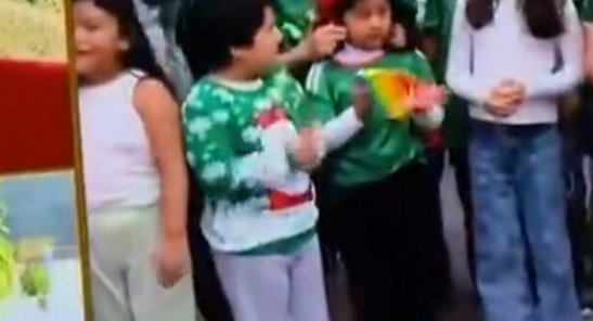 VIDEO: Niño se vuelve viral en el Mundial 2026 por apoyar al Tri con un ...